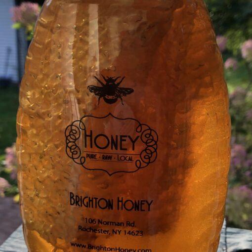 1 Pound Honey Gift Bottle Fall Wildflower Dark honey - Brighton Honey
