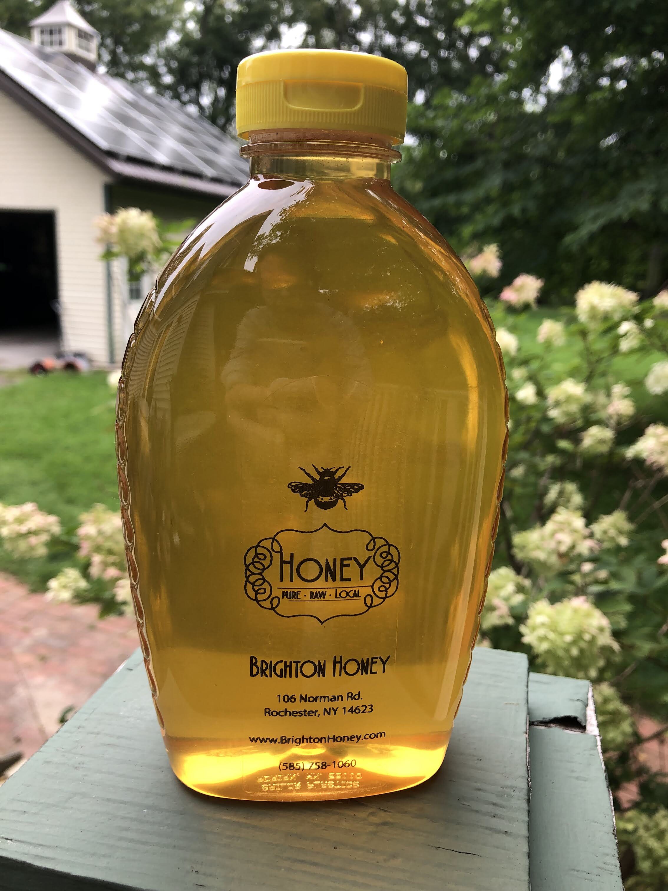 Pure raw spring light honey in 2lb Squeezable Plastic - Brighton Honey
